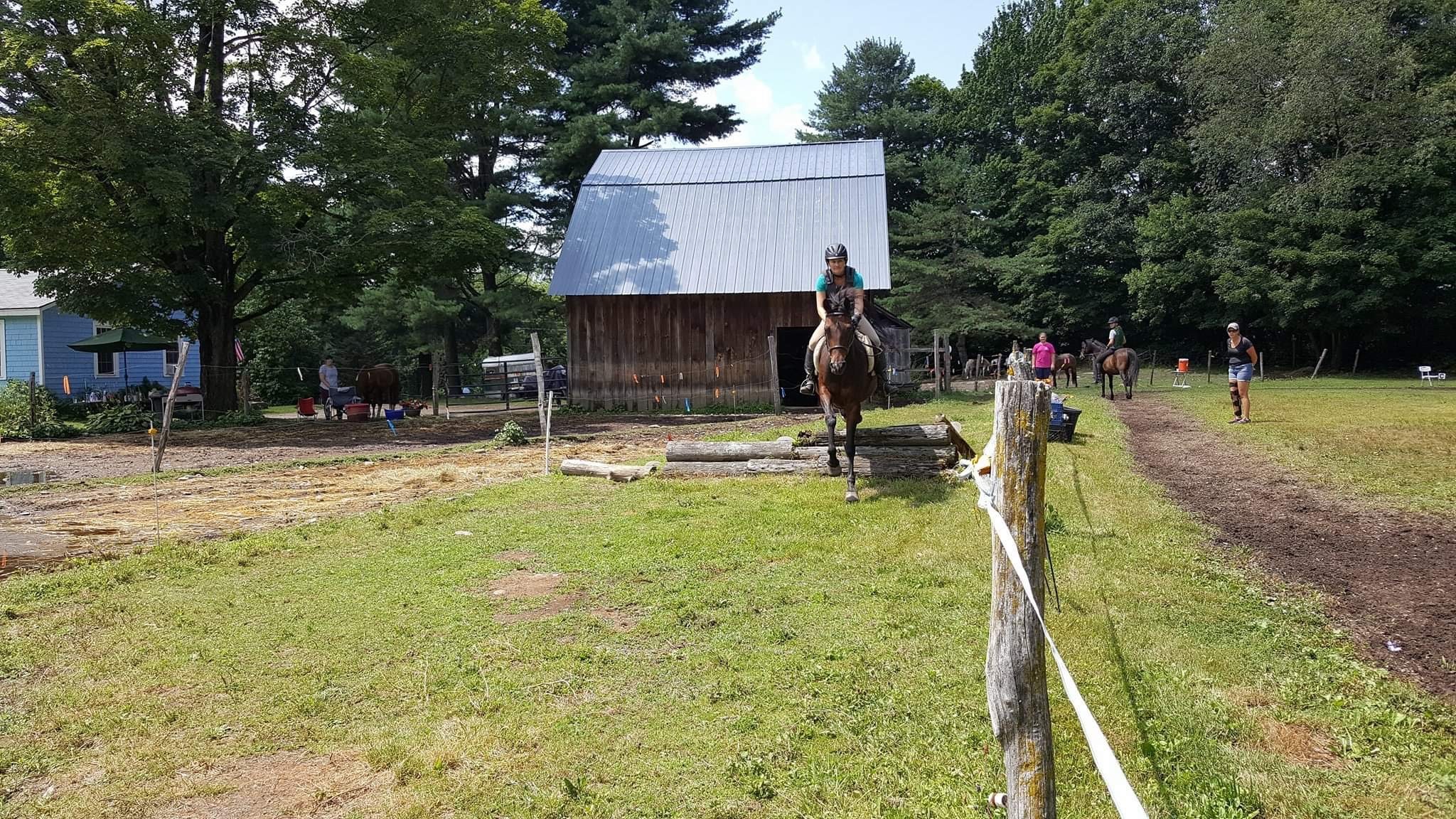 Training – Maple Row Stables