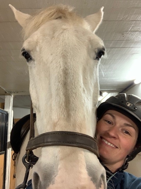 Horses – Maple Row Stables