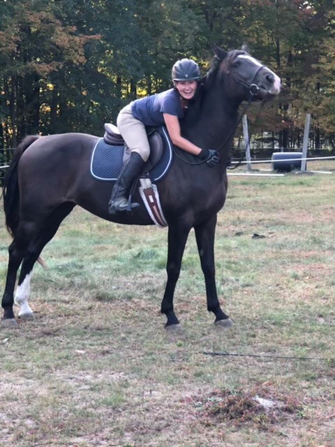 Boarding – Maple Row Stables